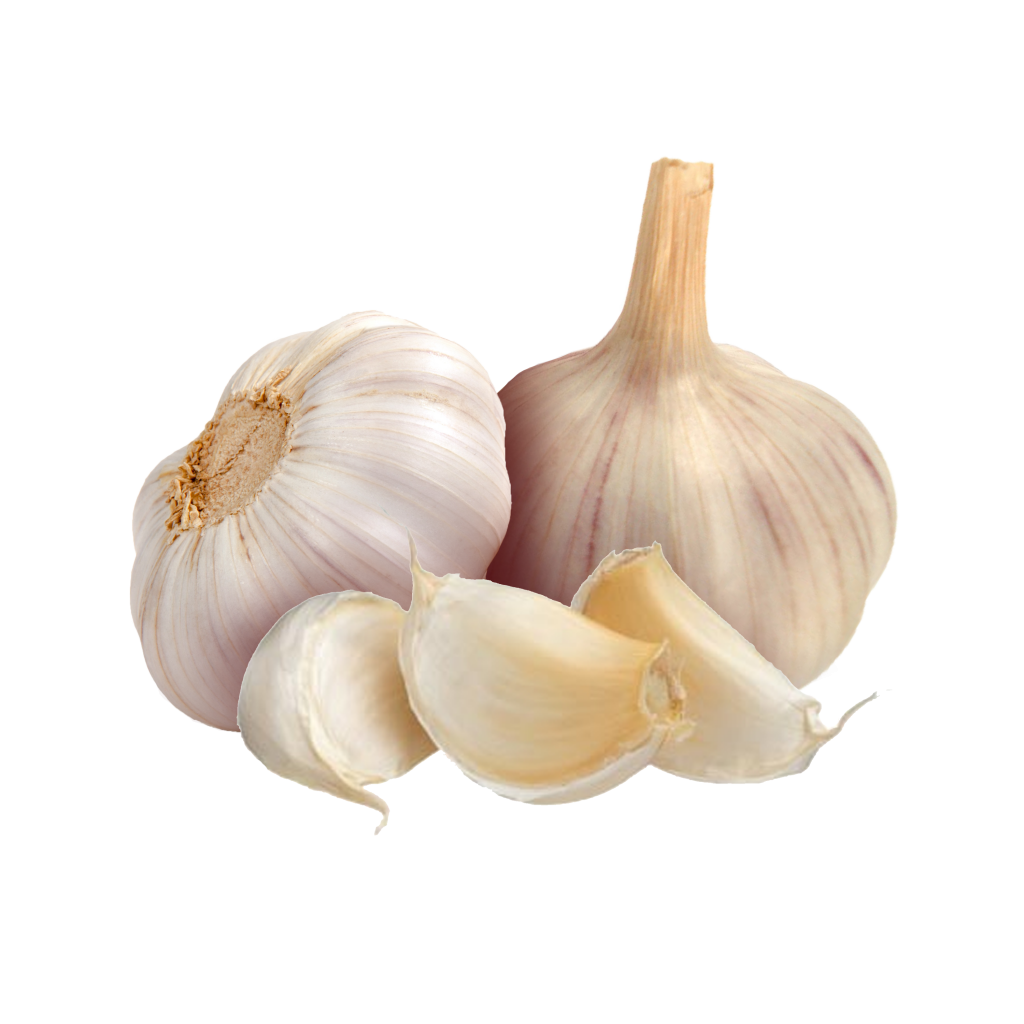 Thai Herbs and Spices - AROMAX INTERPLUS